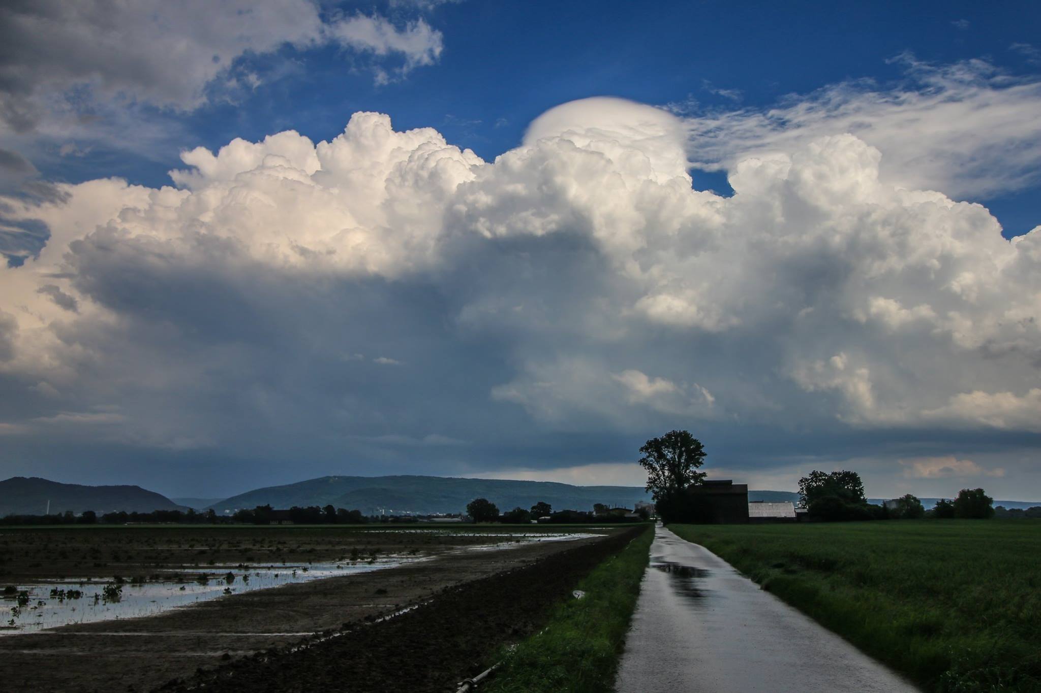 Sturmjäger Frank Mattes | Radio Regenbogen