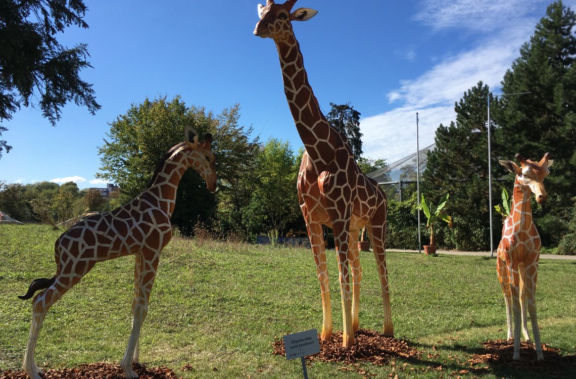 Heidelberger Zoo-Leuchten ab 01.Oktober | Radio Regenbogen